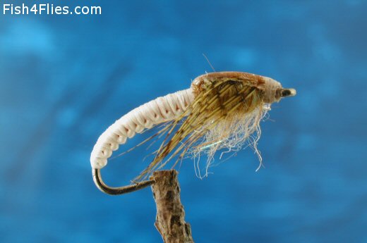 White Nymph Fly - Fishing Flies with Fish4Flies Worldwide